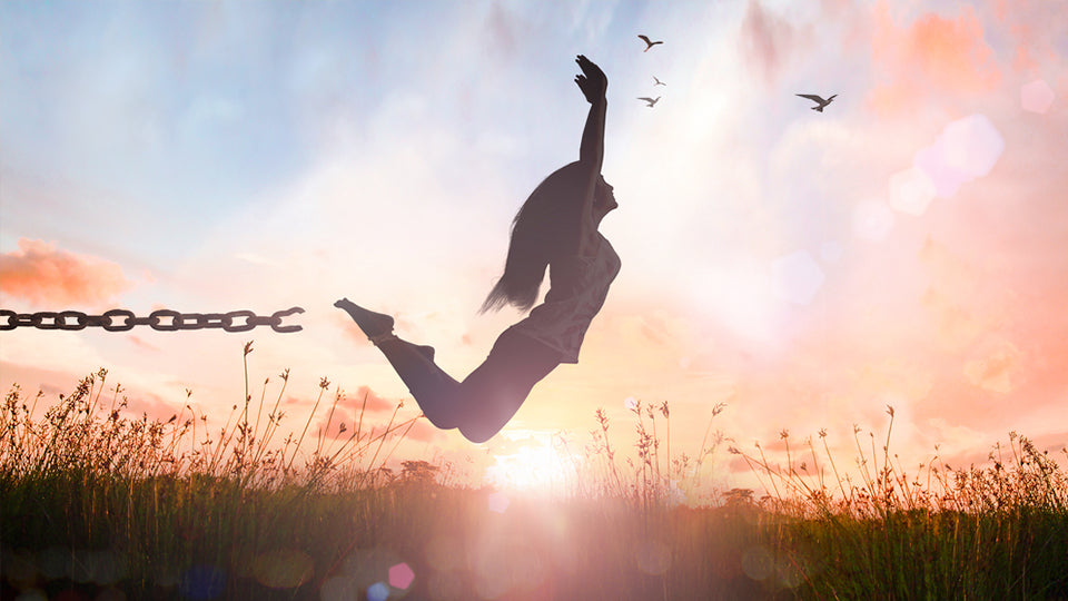 MT Biotensor | Articles & Trainings: Jealous - New Definition – MT Bio ...